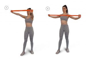 Upper Back - Reverse Fly with Long Resistance Band - FIT CARROTS ...
